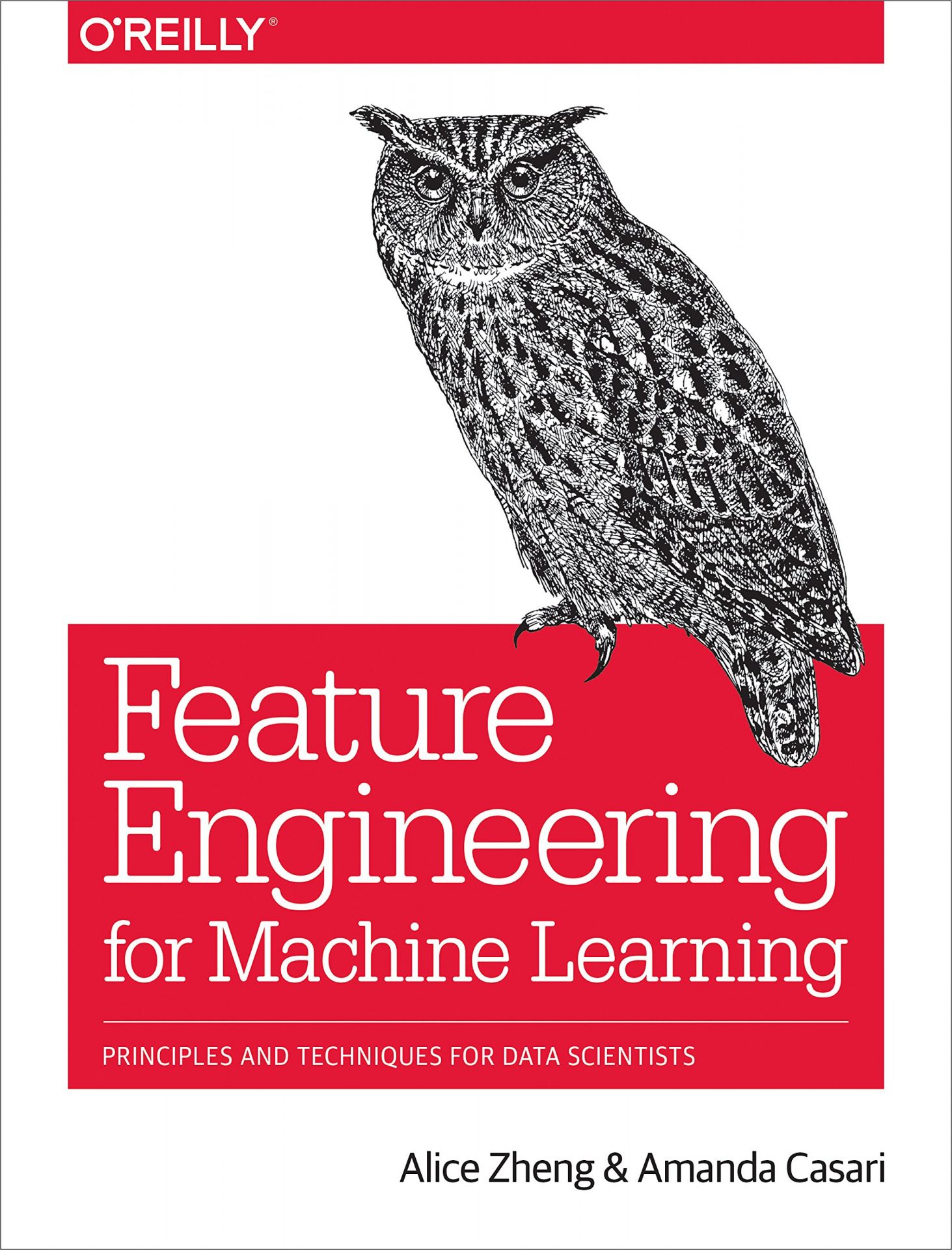 Feature Engineering for Machine Learning – Printrado