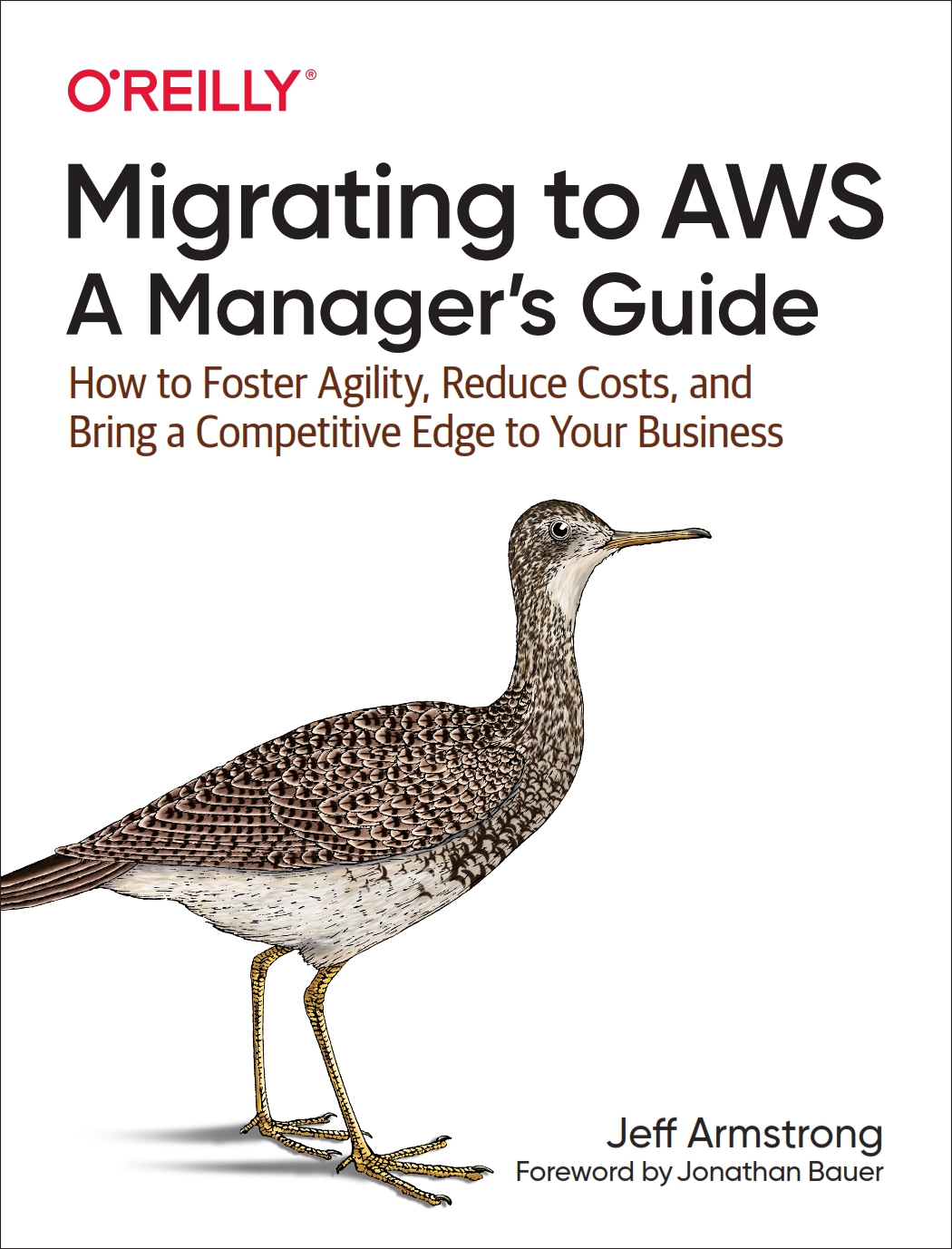 Migrating to AWS, A Manager’s Guide – Printrado