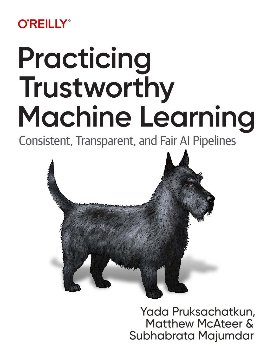 Practicing Trustworthy Machine Learning – Printrado