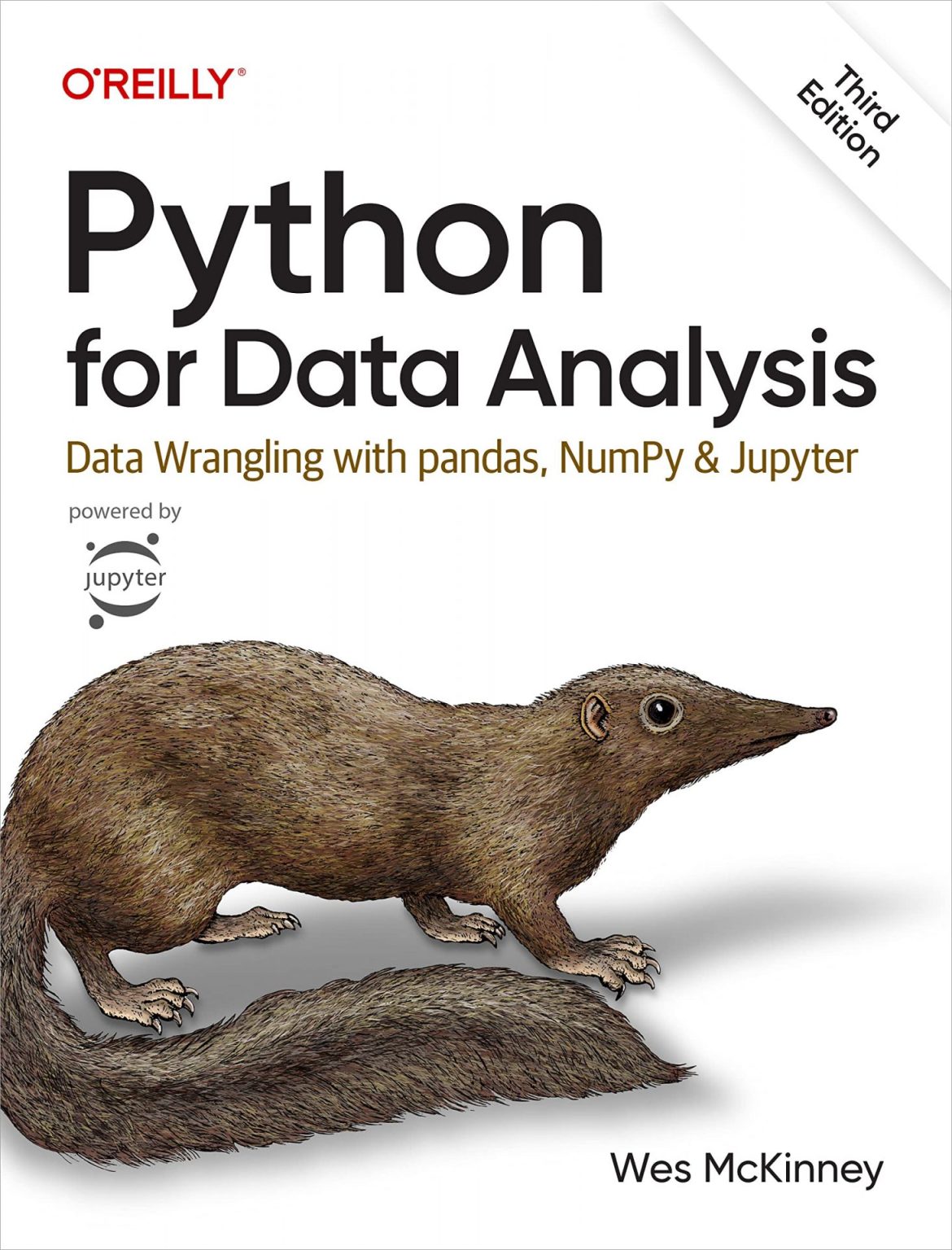 Python for Data Analysis – Printrado