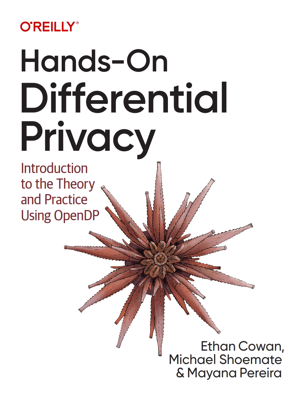 Hands-On Differential Privacy – Printrado