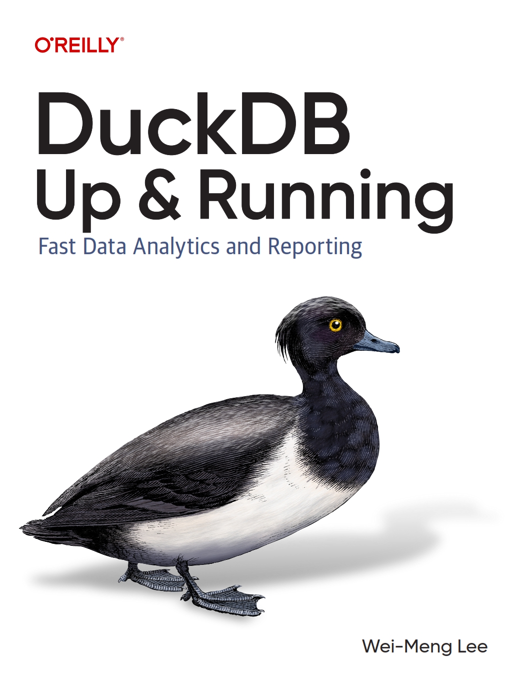 DuckDB, Up and Running – Printrado